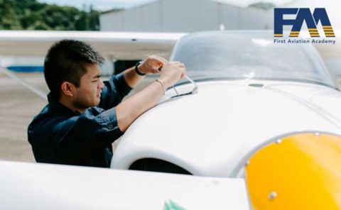 From Trainee to Skilled Aviator: Pilot Training Programs in the ...